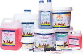 Store - Dynavyte Australia