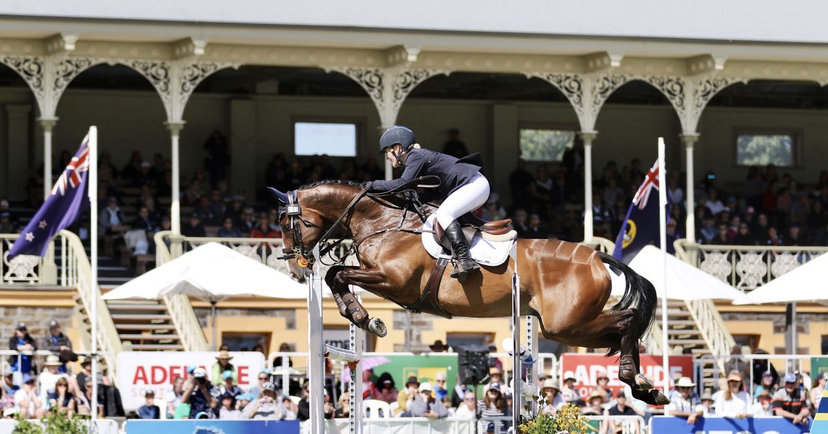 Meet Eventing’s new glamour couple … - Dynavyte Australia